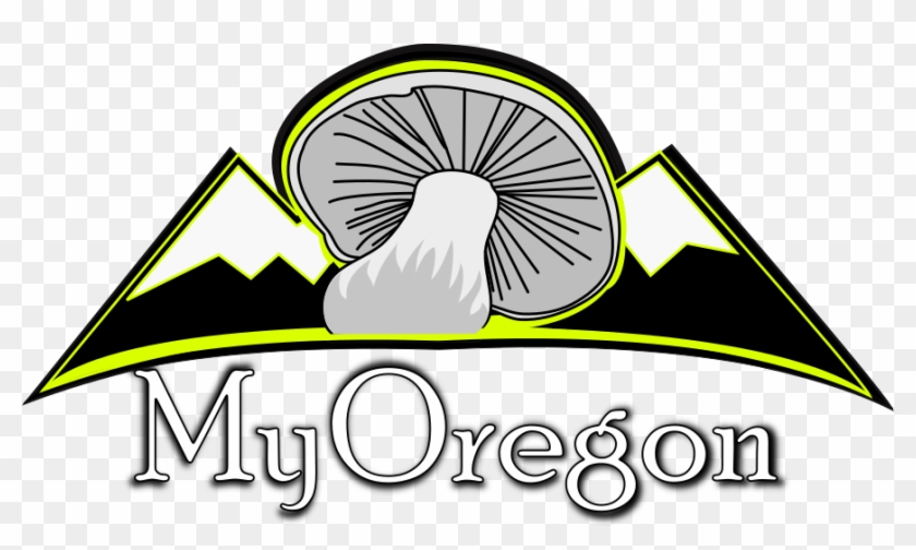 Logo - Wimer Covered Bridge - Full Size PNG Clipart Images Download