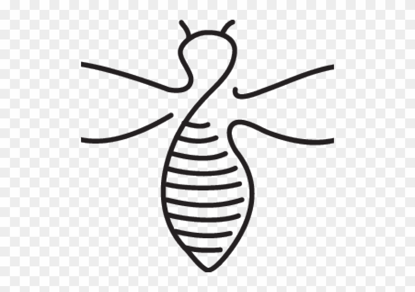 Bee Outline - Outline Of Bee - Full Size PNG Clipart Images Download