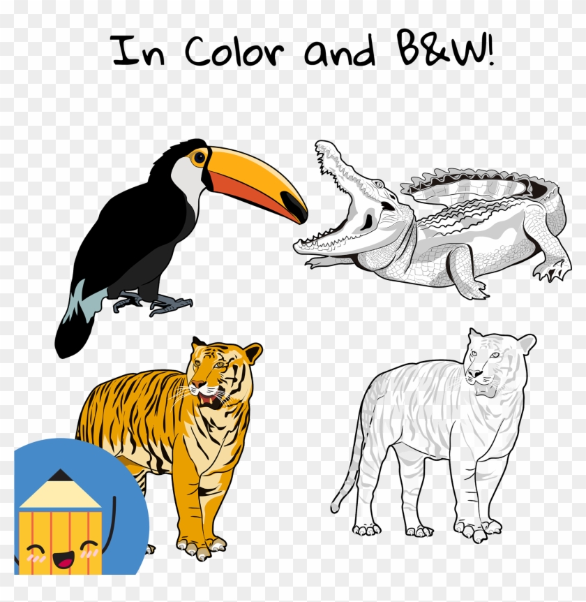 Zoo Animals Clip Art - Zoo - Full Size PNG Clipart Images Download