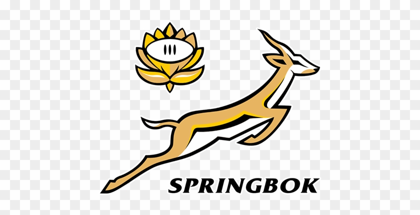 Springboks Vs Argentina 2018 - Full Size PNG Clipart Images Download