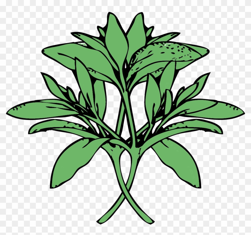 Like This - - Kate's Table ~ Catering & Events - Free Transparent PNG ...