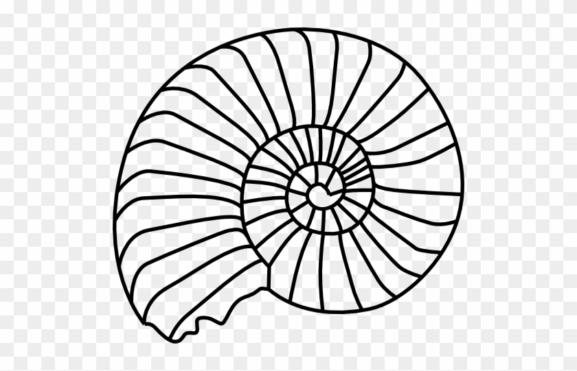 Embed This Clipart - Easy To Draw Fossils - Full Size PNG Clipart ...