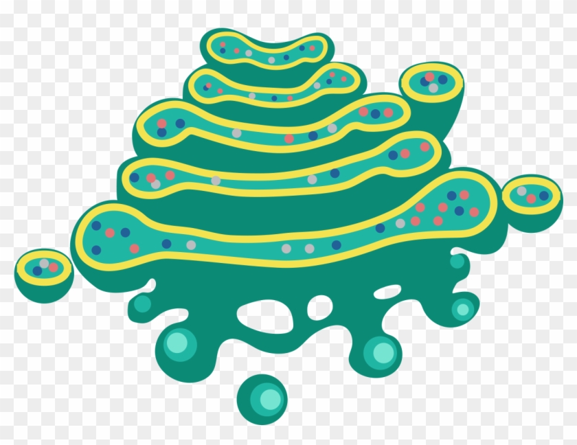 Biology - Full Size PNG Clipart Images Download