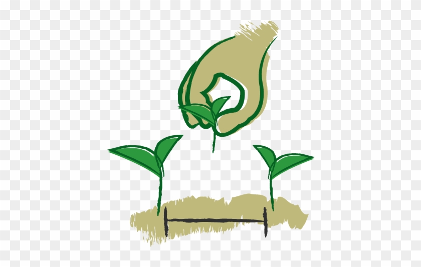 Thinning - - Garden - Free Transparent PNG Clipart Images Download