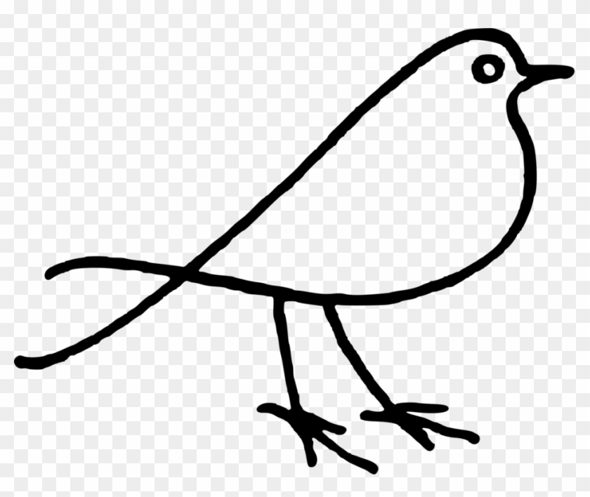 Bird Doodle Parrot Drawing Download - Bird Doodle Png - Full Size PNG ...