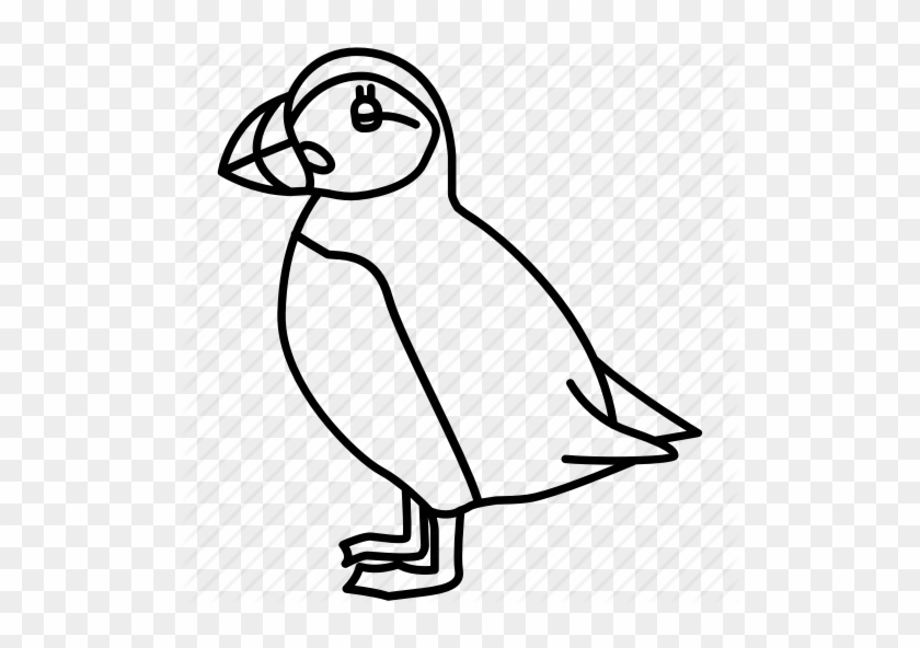 Clipart Library Stock Birds Outlines By Jisun - Puffin Outline - Full ...