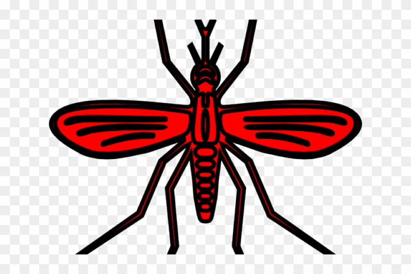 Symmetry Clipart Lamok - Net-winged Insects - Full Size PNG Clipart ...