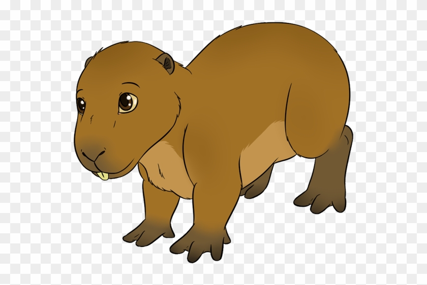 Capybara By Michiko1125 - Dog - Full Size PNG Clipart Images Download