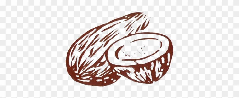 Coconut Clipart Election Symbol - Indian Election Symbols Coconut ...