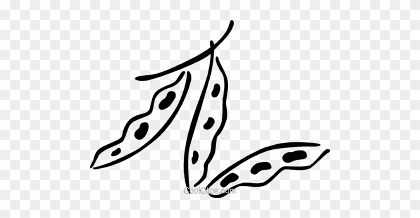 Peas Royalty Free Vector Clip Art Illustration - Line Art - Full Size ...