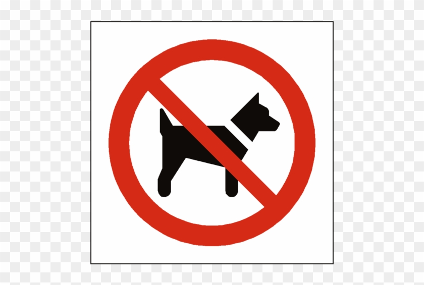 No Dogs Symbol Sign Safety-label - No Dogs Sign - Full Size PNG Clipart ...