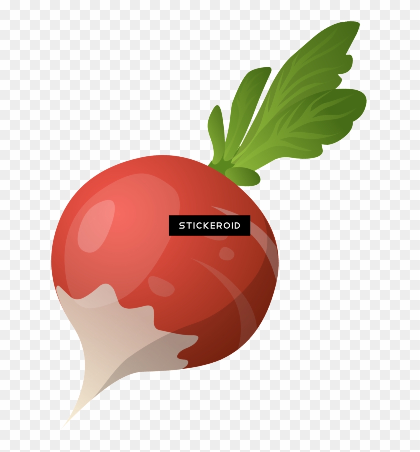 Beet Vegetables - Vector Illustration Of A Radish Fidget Spinner ...