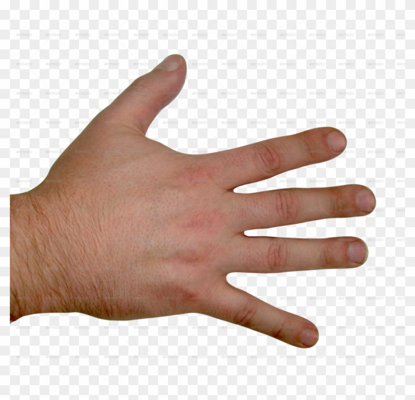 Back Of Human Hand Clipart Human Body Hand Clip Art - Back Of Hand ...