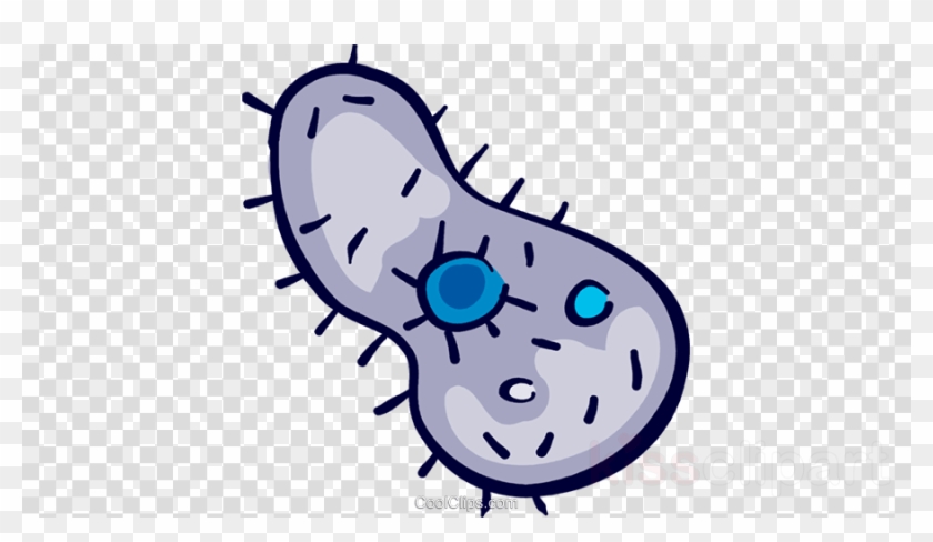 Microorganisms Png Clipart Microorganism Clip Art - Clip Art - Full ...