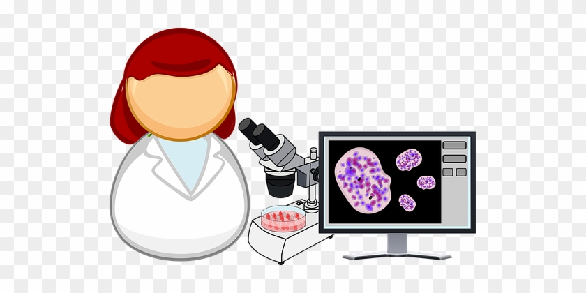 High Impact Data Science Challenges - Analisis De La Informacion Biologia - Full Size PNG ...