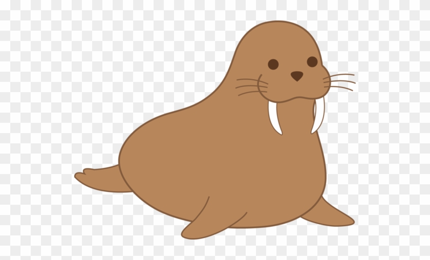 Walrus Clipart