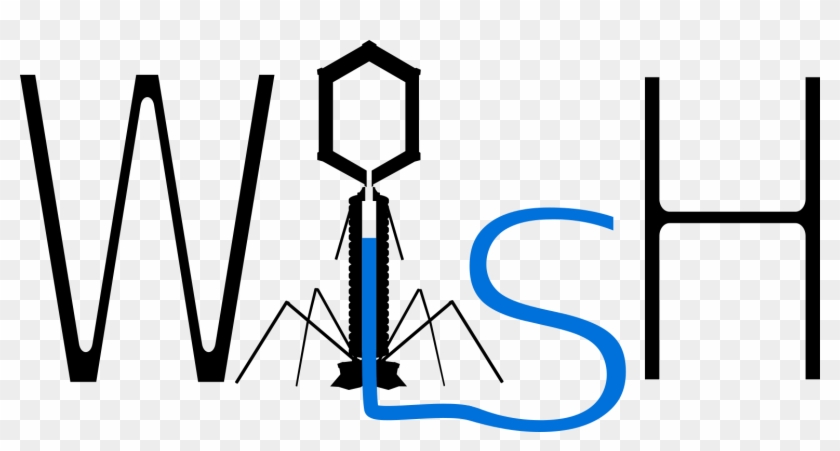 What Is This Repository For - Hershey And Chase Experiment - Full Size ...