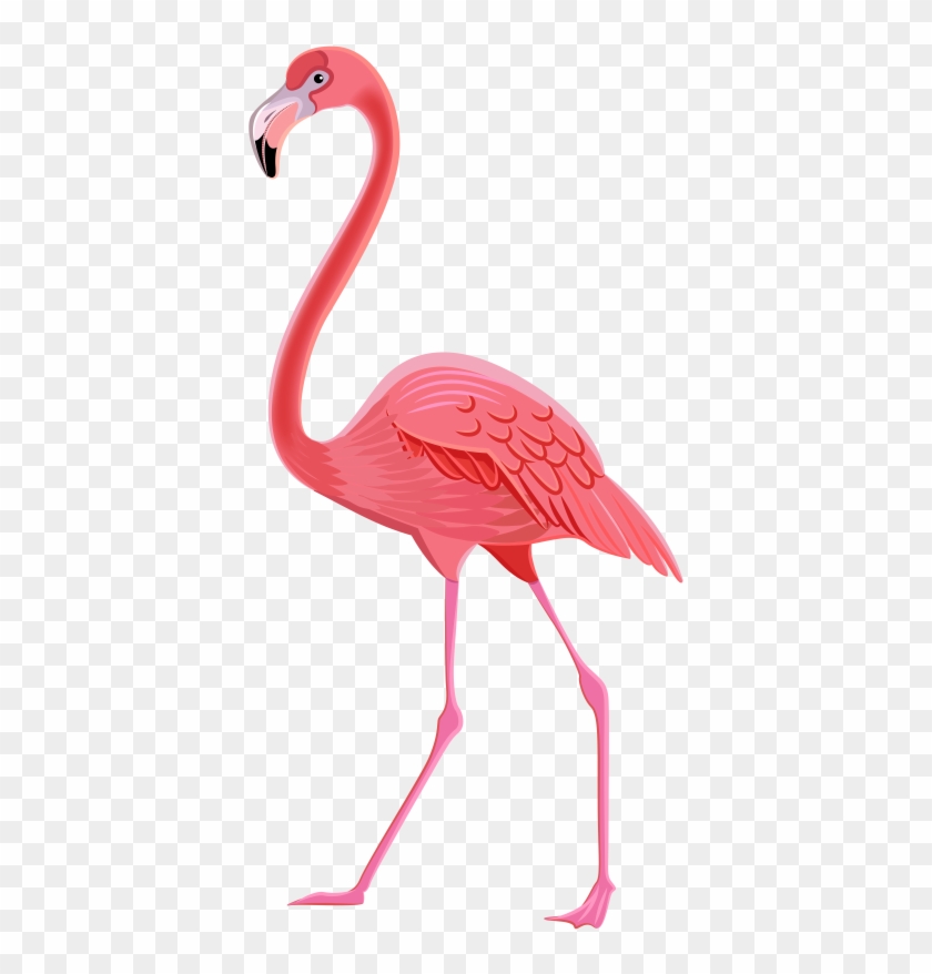 Flamingo Png Transparent Clip Art Image - Transparent Background ...