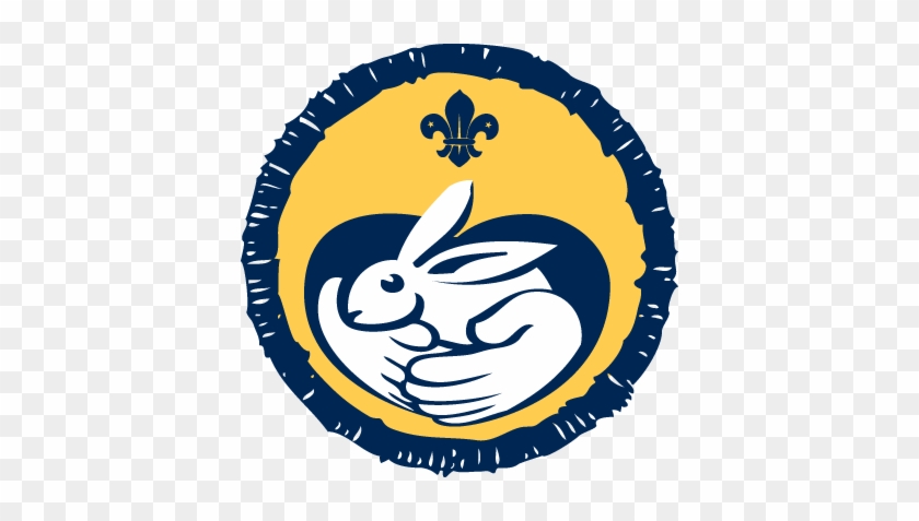 Animal Friend Activity Badge - Beaver Badges - Full Size PNG Clipart ...