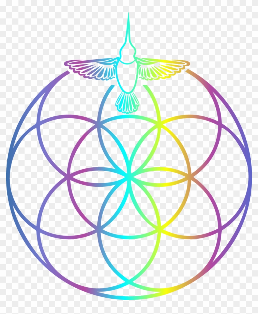 The Psychedelic Integration Coach - The Psychedelic Integration Coach ...