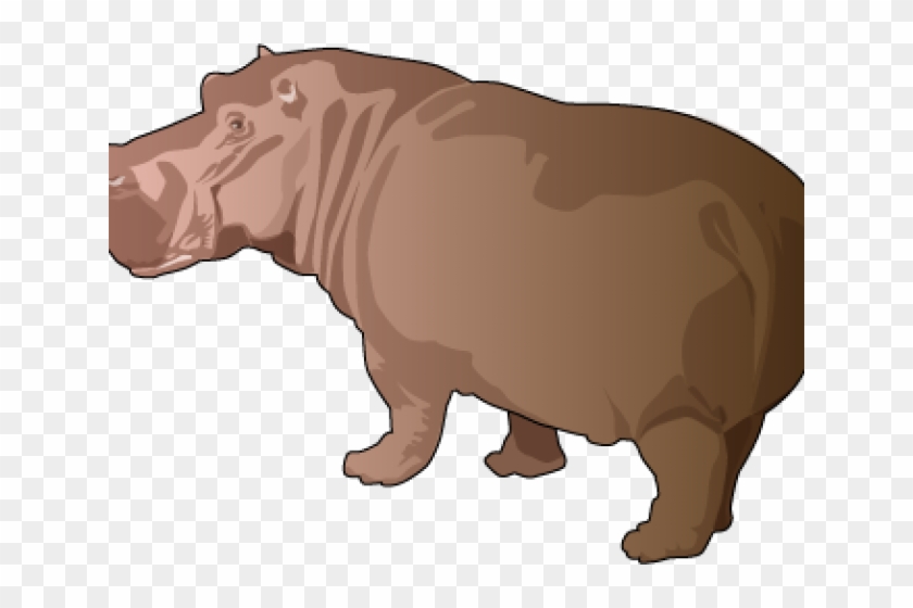 Hippopotamus - Full Size PNG Clipart Images Download