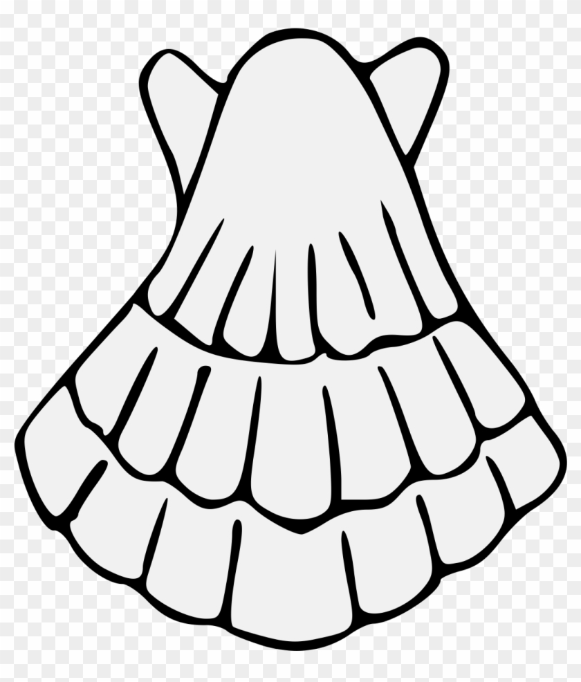 Drawing Shell Escallop For Free Download - Art - Full Size PNG Clipart ...