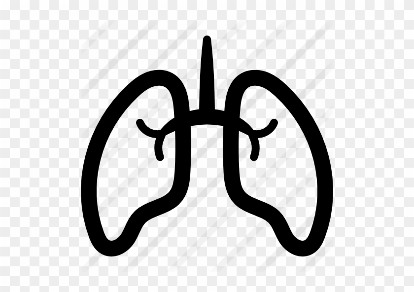 Lungs Free Icon - Lung - Full Size PNG Clipart Images Download