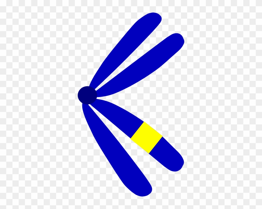 Chromosome Clipart - Full Size PNG Clipart Images Download