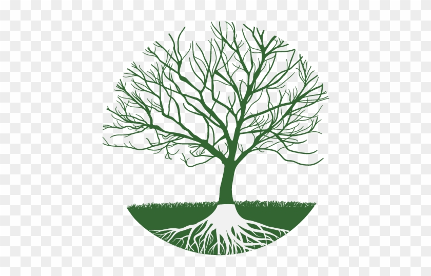 Family Tree Clipart - Realistic Tree Without Leaves - Full Size PNG ...