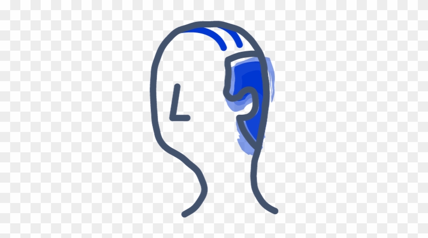 Hair Loss Prevention And Regrowth - Hair Loss Prevention And Regrowth ...