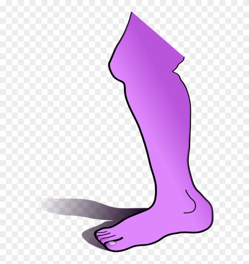 Vector Clip Art - Leg Clip Art - Full Size PNG Clipart Images Download