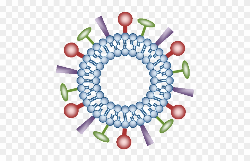 Of Virosome The Surface A Liposome Is - Viral Antigen - Full Size PNG ...