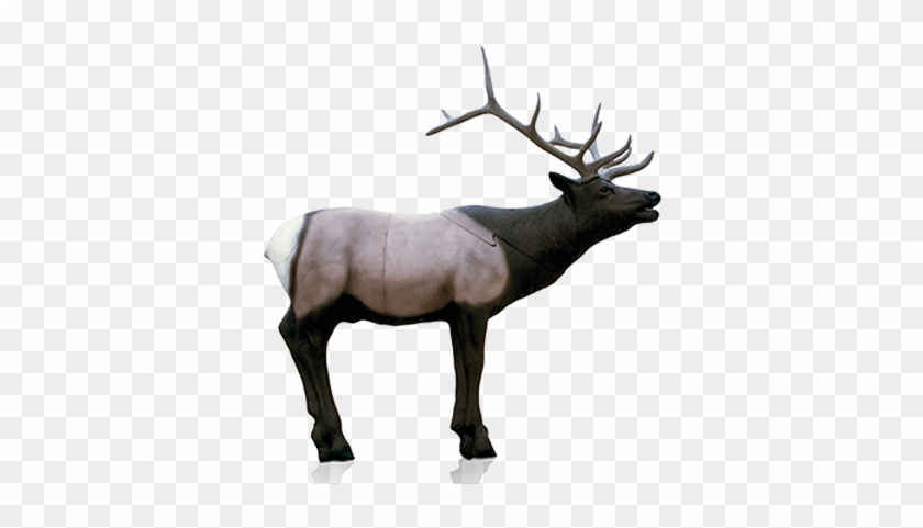 Clip Art Elk 3d Archery Target With Transparent Background - 3d Deer ...