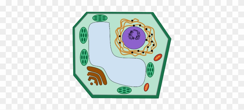 Image Library Cells And The Mr G S Science - Microscope - Full Size PNG ...