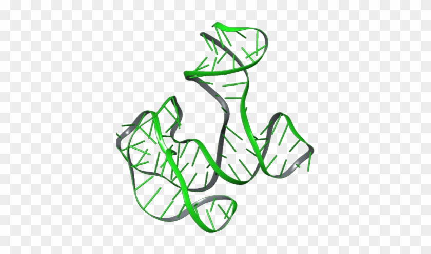 The 3 Hbv Surface-antigen Known Aptamers, As Predicted - Aptamer 3d ...