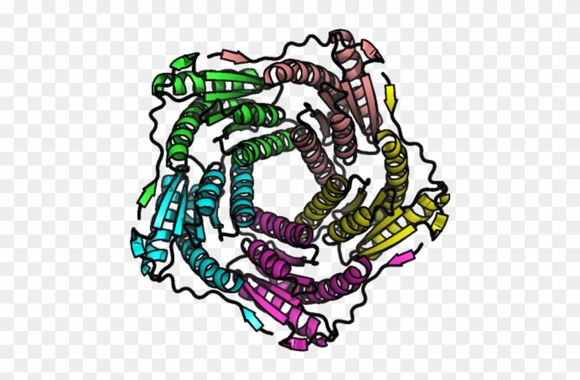 Symmetric Docking Server Documentation - Docking Protocol - Free ...