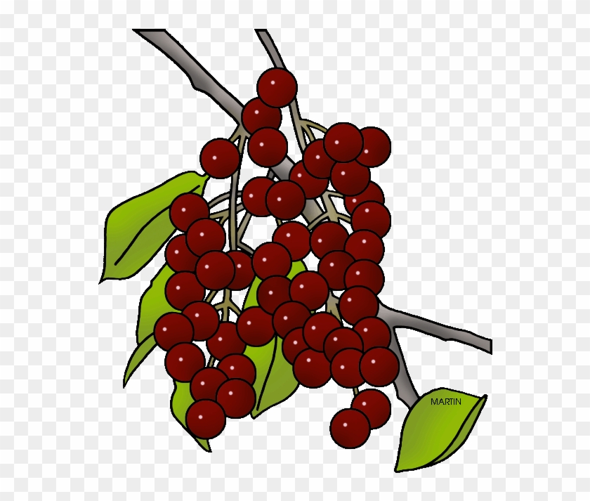 State Fruit Of North Dakota - Visual Software Systems Ltd. - Full Size ...