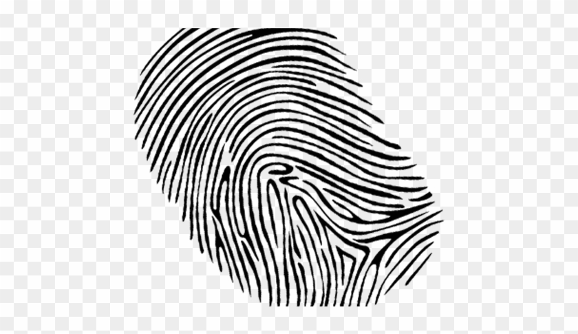 Pnp Hall Of Famer - Drawing - Free Transparent PNG Clipart Images Download