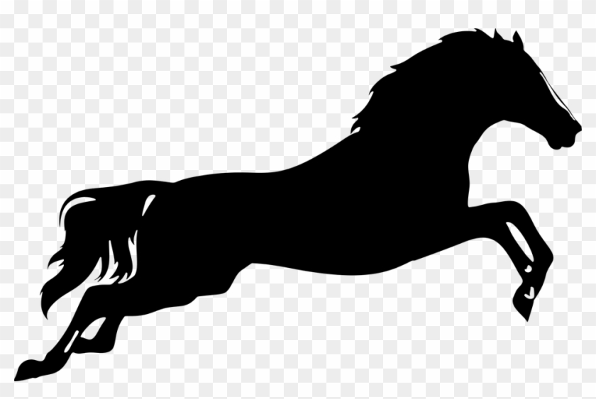 Sprung, Springen, Pferd, Tier, Pferde - Horse Silhouette - Full Size ...