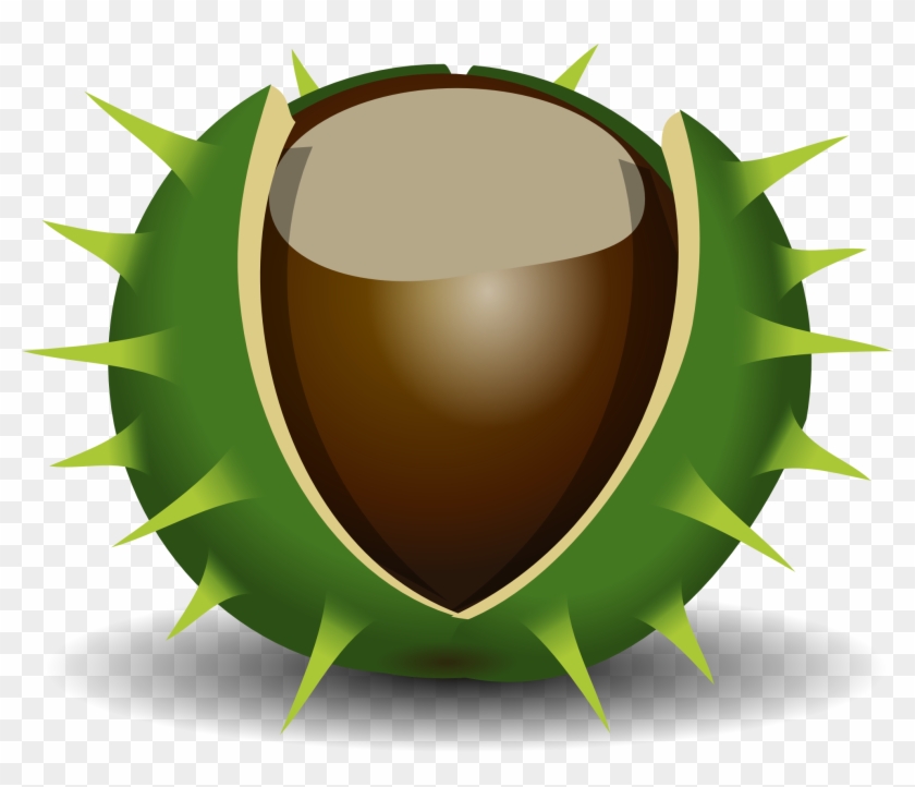 Free Chestnut - Chestnut - Full Size PNG Clipart Images Download