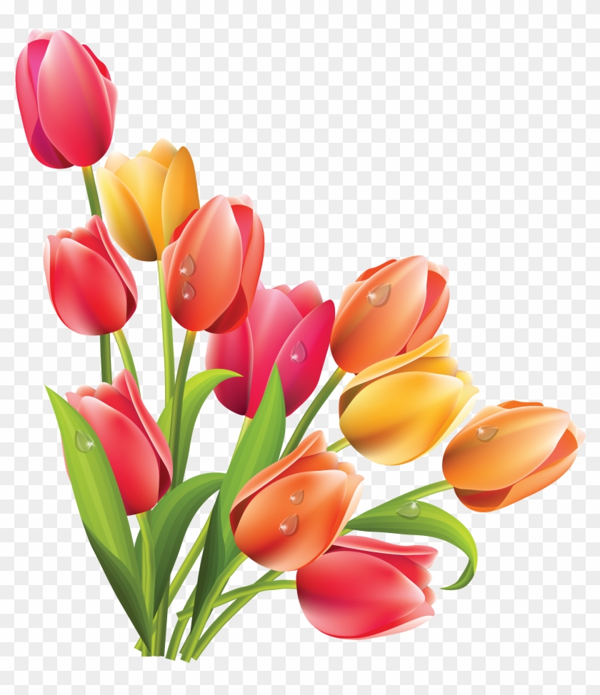 Spring Tulip Vector - Easter Flowers Clipart - Full Size PNG Clipart ...