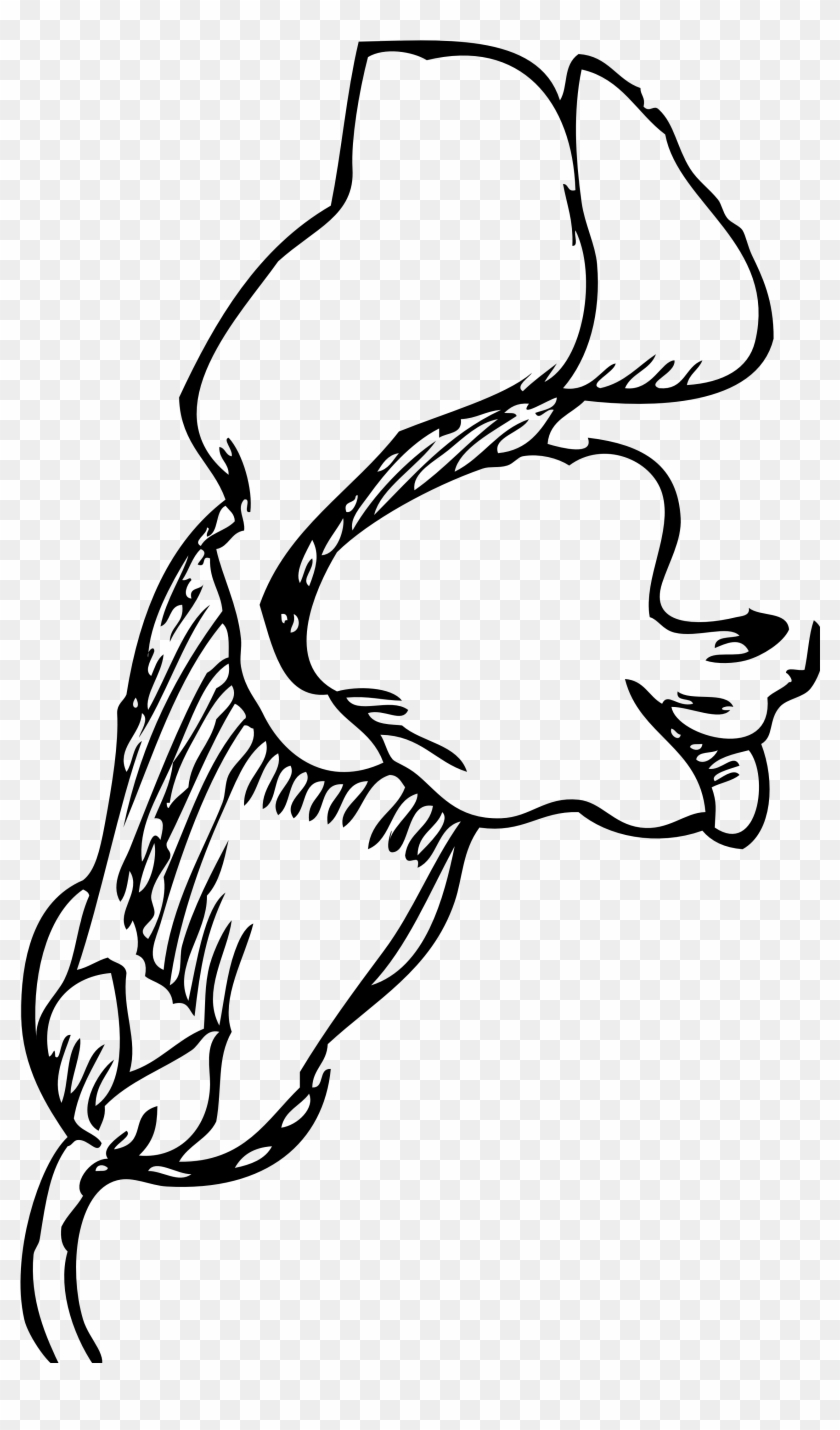 Snapdragon Flower Tattoo - Easy Snapdragon Drawing - Full Size PNG ...