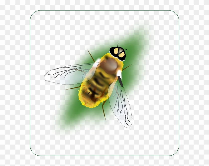 This Free Clip Arts Design Of Digital Bee Art - This Free Clip Arts ...