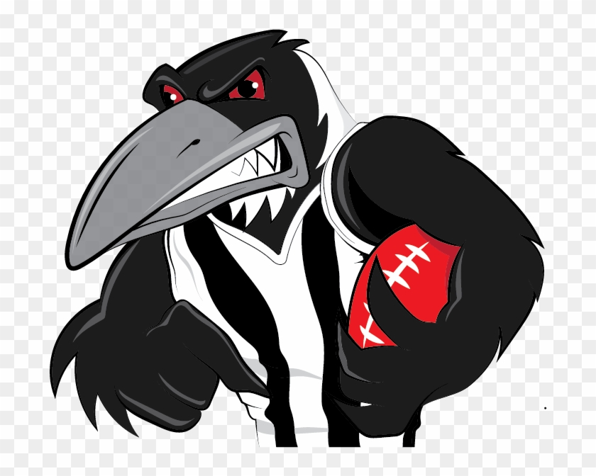 Australian Drawing Magpie - Collingwood Magpies - Full Size PNG Clipart ...