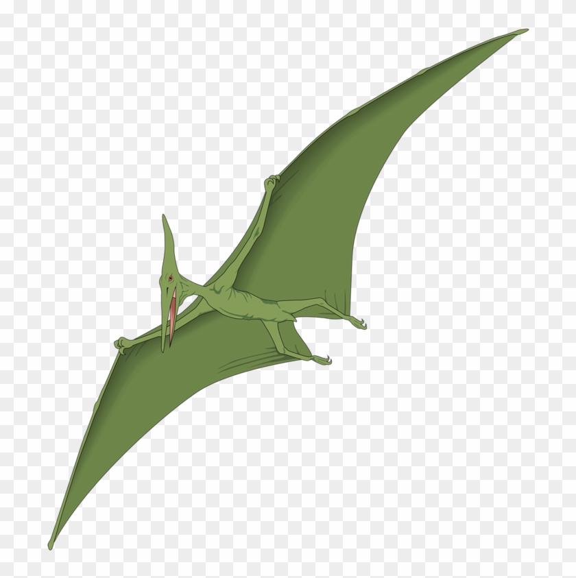 Album - Album - Free Transparent PNG Clipart Images Download