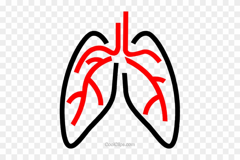 Human Lungs Royalty Free Vector Clip Art Illustration - Human Lungs ...