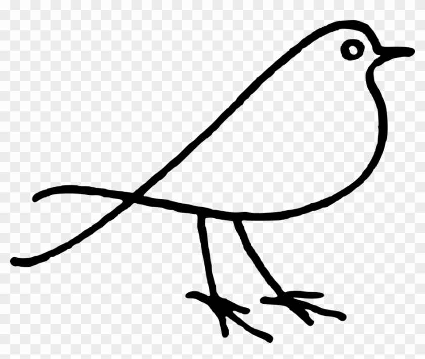 Animal Bird Doodle - Animal Bird Doodle - Free Transparent PNG Clipart ...