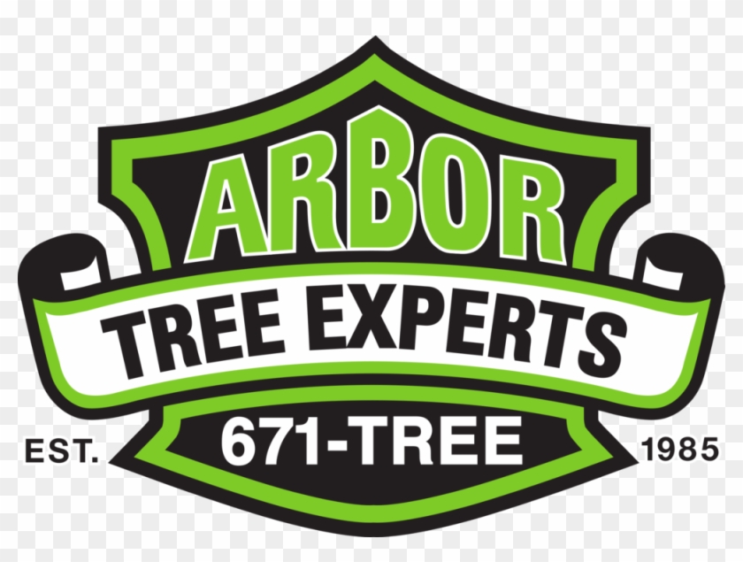 Arbor Tree Experts, Tree Service Webster - Arbor Tree Experts, Tree ...