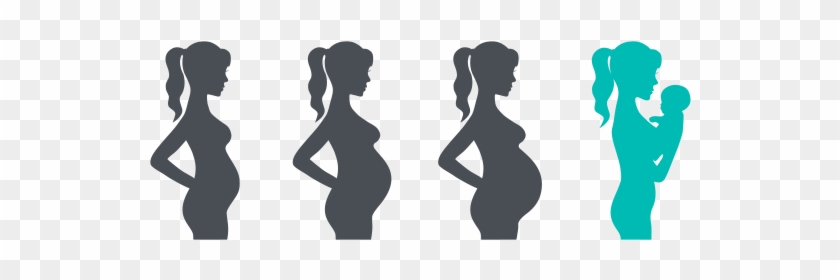 Illustration Of The Phases Of Pregnancy To Birth - Illustration Of The ...