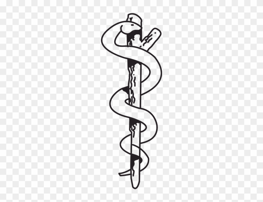 Medical Symbol With One Snake And Tree Branch - Medical Symbol With One ...